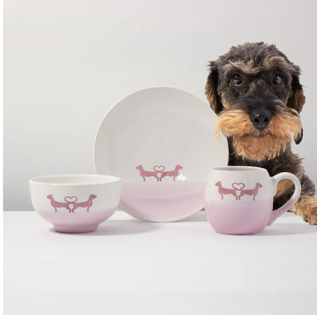 Der Hund als treuer Begleiter – Der perfekte Partner am Valentinstag